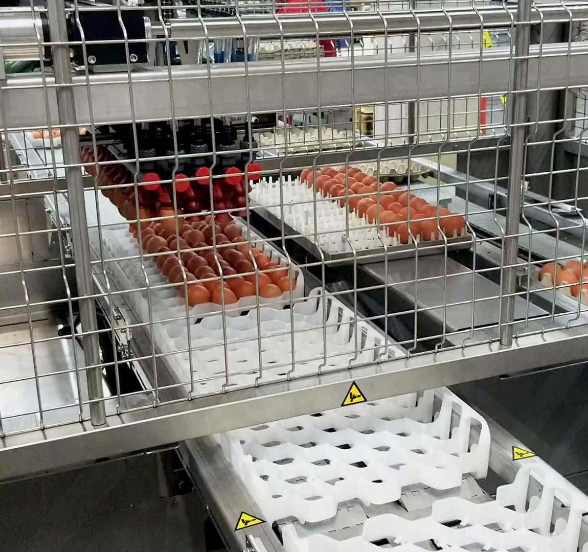 Tray to tray transfer - Vencomatic Group